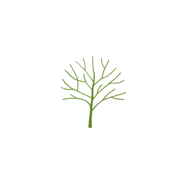 Beth Pear Tree | Eating & Dessert Pear Trees For Sale – Ornamental Trees