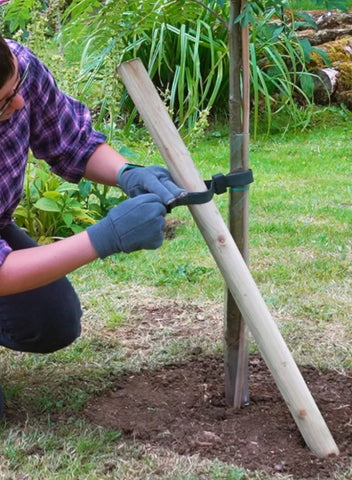 Tree Stake And Tie Kits | Tree Planting Essentials – Ornamental Trees