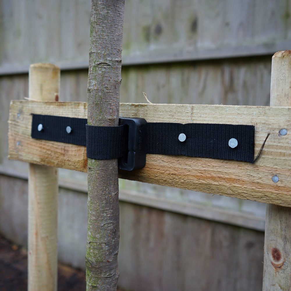 Large Tree Stake And Tie Kits | Planting Essentials | Ornamental Trees