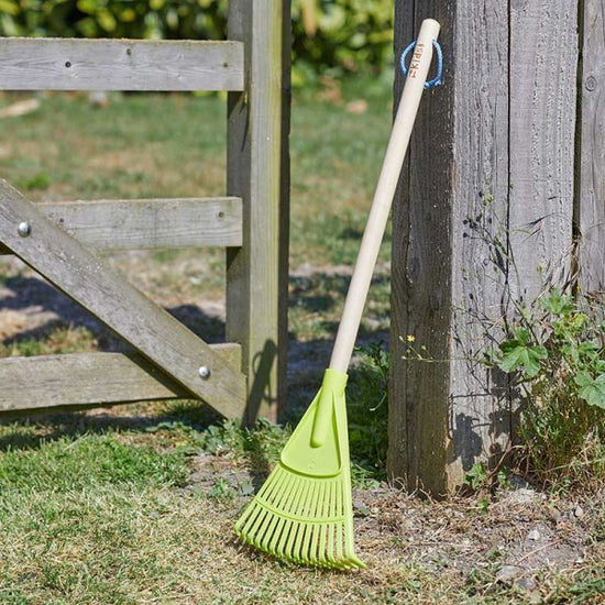 Leaf Rake | Gardening Tools | Ornamental Trees