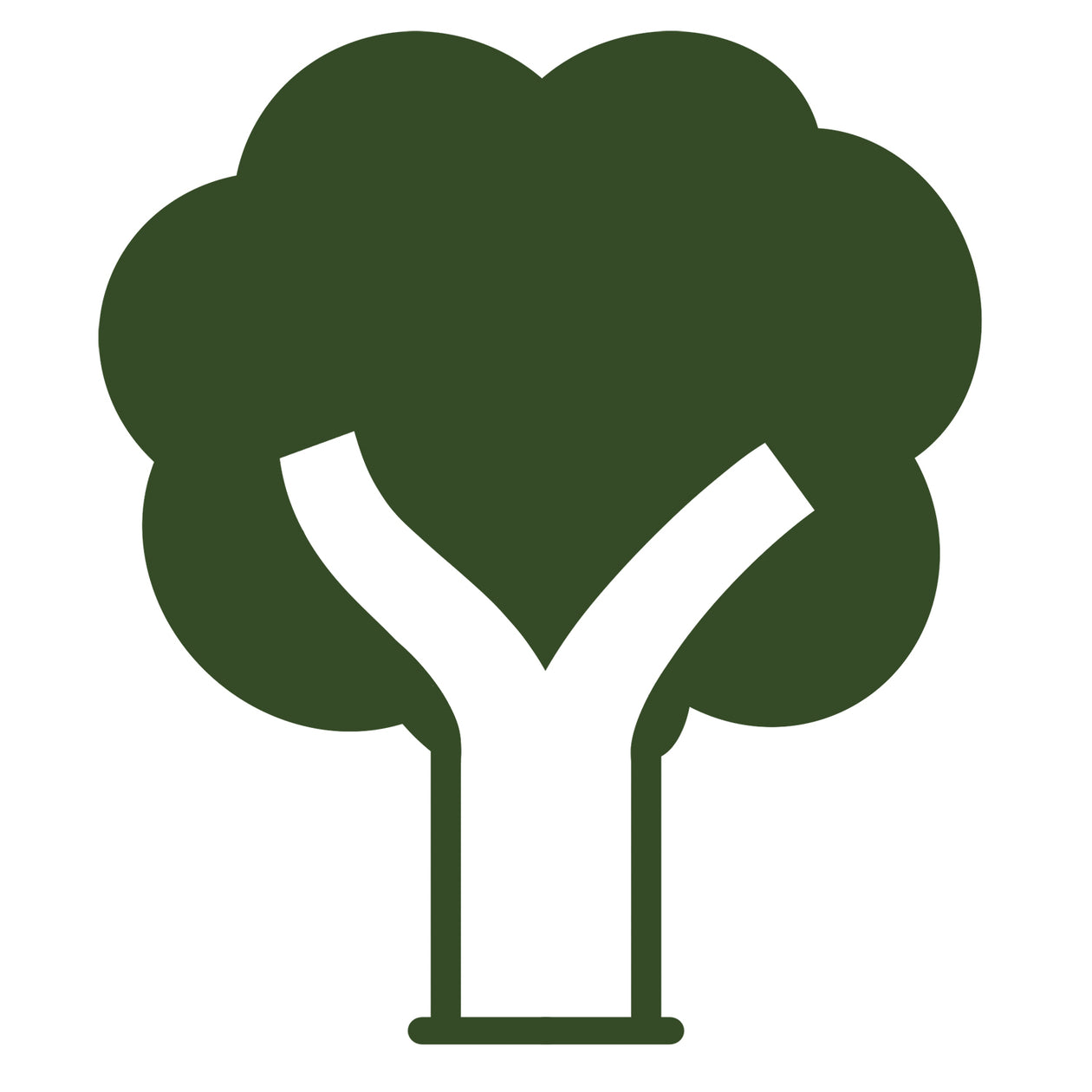 Conference Pear Tree | Pyrus communis Conference | Ornamental Trees