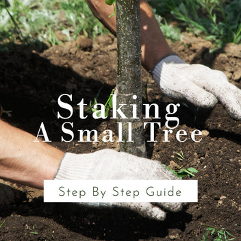 Tree Stake And Tie Kits | Tree Planting Essentials – Ornamental Trees