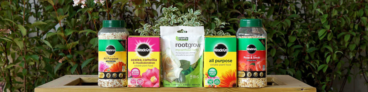 Tree & Shrub Planting Essentials | Ornamental Trees