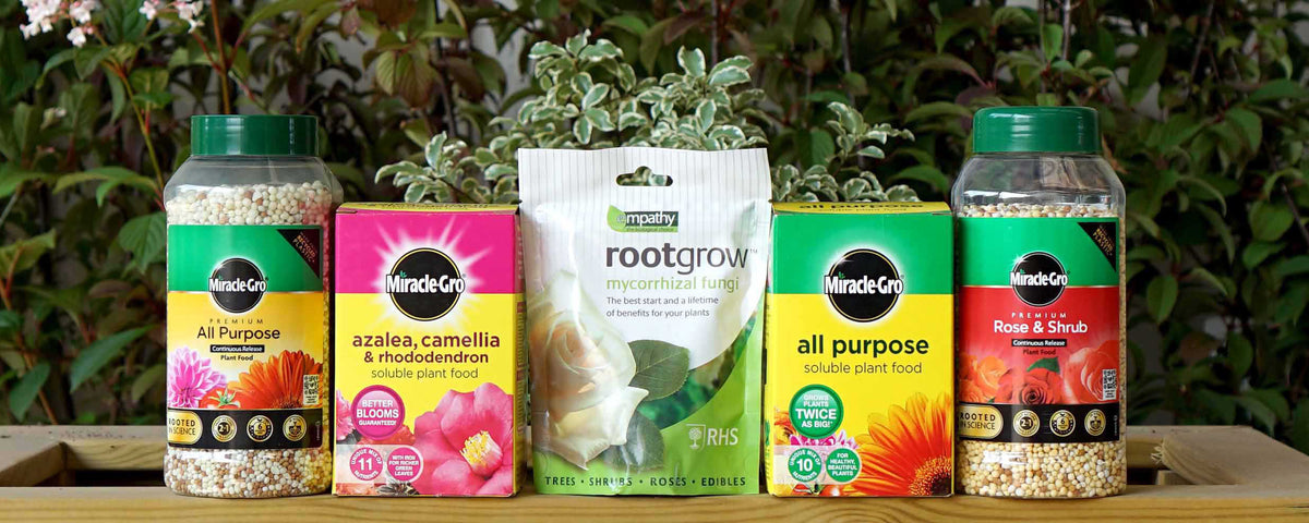 Tree & Shrub Planting Essentials | Ornamental Trees