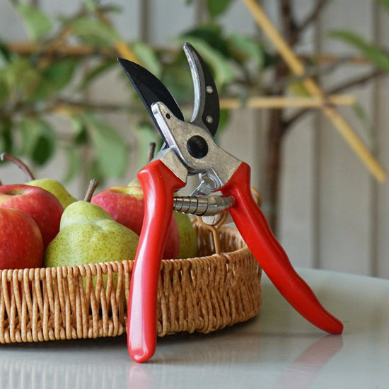 Razorsharp Heavy Duty Bypass Secateurs | Ornamental Trees