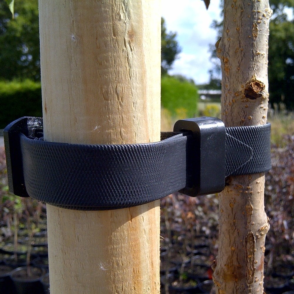 Complete Tree Planting Kits With Irrigation | Ornamental Trees