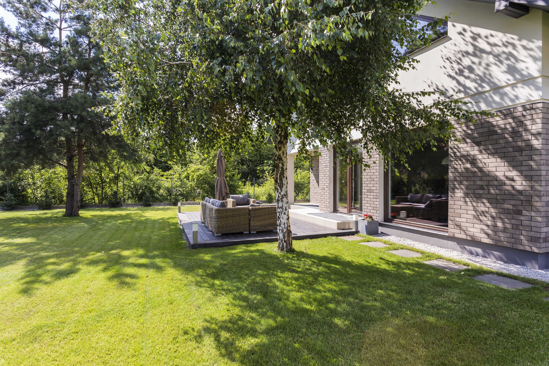 Buy Large & Established Mature Trees Online | Ornamental Trees